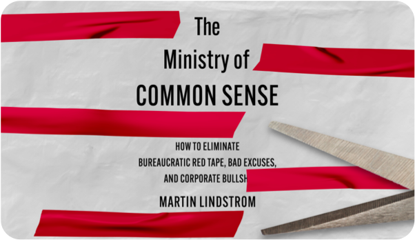 The Ministry of Common Sense Videobook